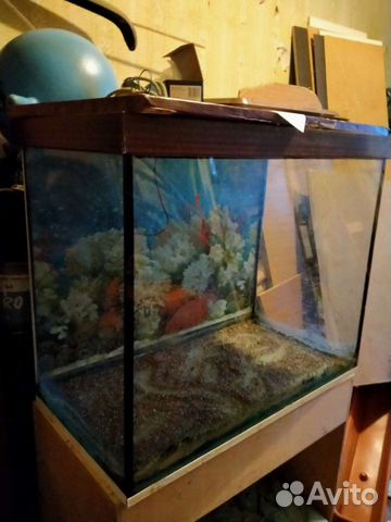 Аквариум