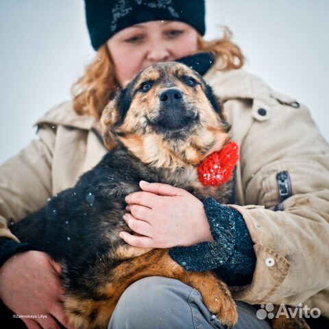 Домашний ребенок сейчас в приюте