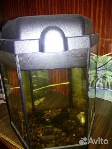 Аквариум шестигранный hexagon 28х32см 20л