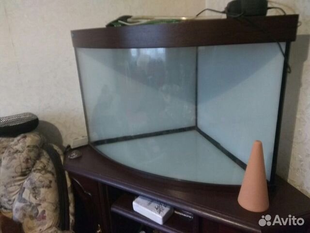 Биодизайн аквариум