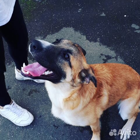 Очень красивый мальчик - подросток Джей для вас