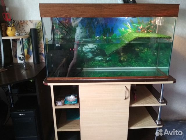 Аквариум/акватеррариум 200 л