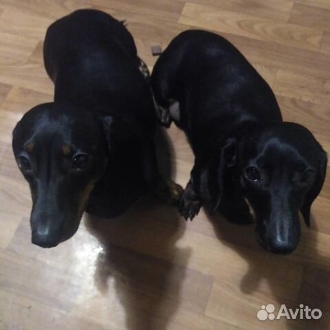 Ишем жениха