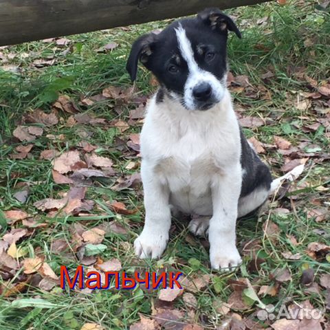 Малыш замерзает под сараем