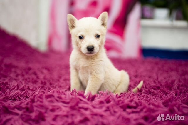 Мини малышка Снежинка