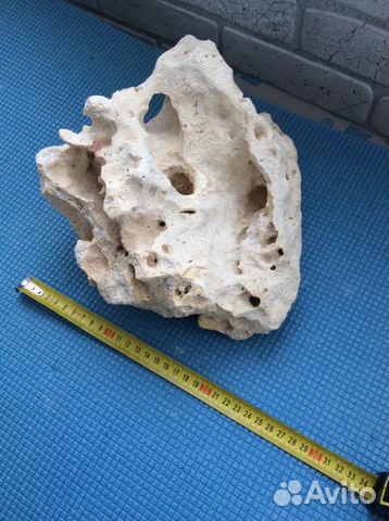 Камень Занзибар рок Кения