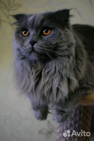 Вязка
