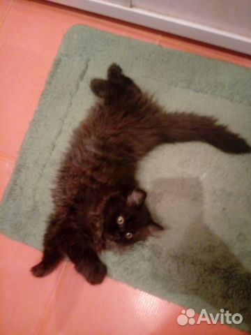 Подарите себе друга ;)