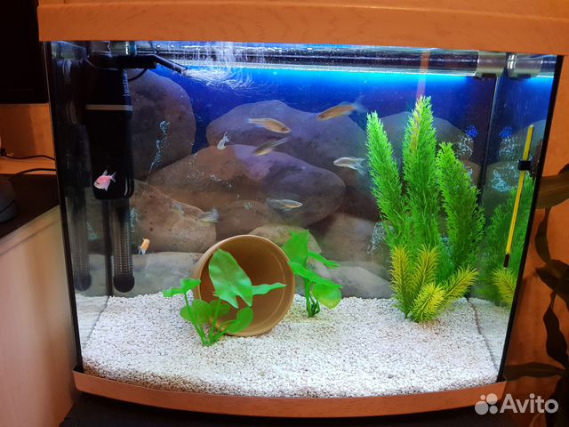 Аквариум Biodesign 40л панорамный