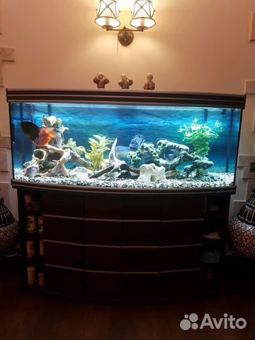 Аквариум