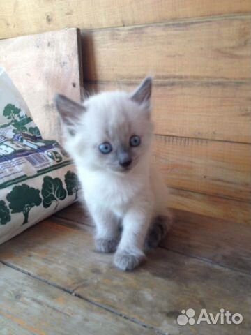 Кто тут самый заботливый