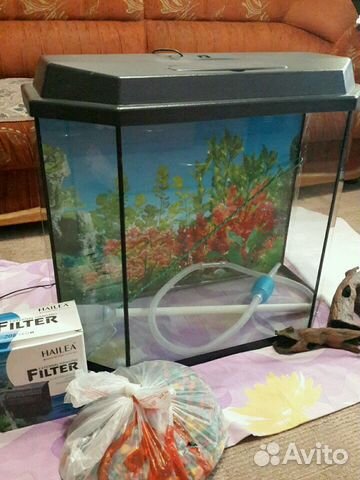 Аквариум