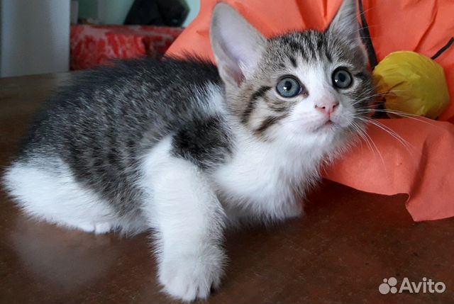 Мощный антидепрессант