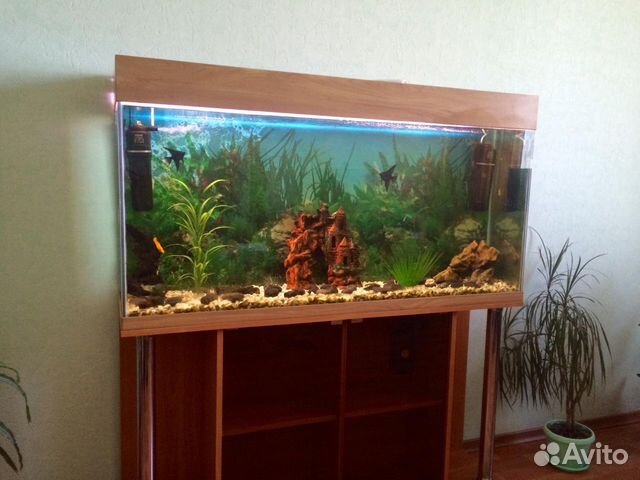 Аквариум с тумбой 280л