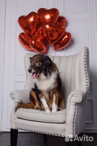 Красивущая Джина Лоллобриджида в дар