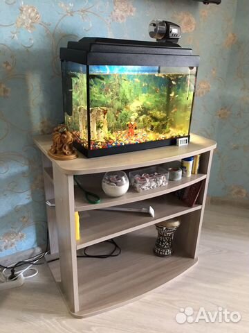 Аквариум с рыбками и декором