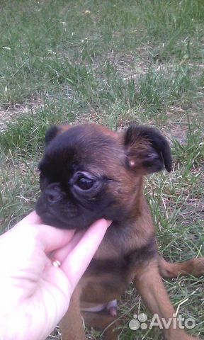 Брутальный парень)