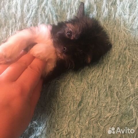 Крохотульки