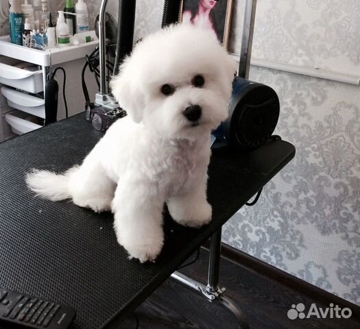 Маленькая модница