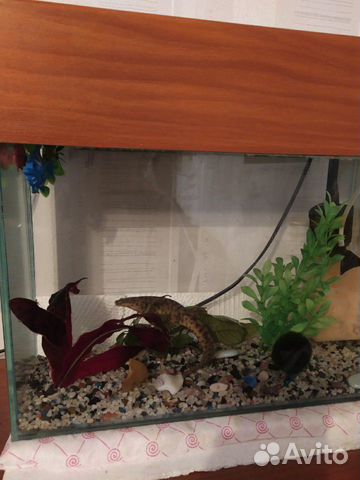 Продам аквариум на 23л
