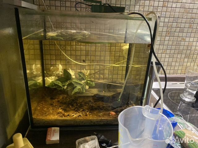 Аквариум