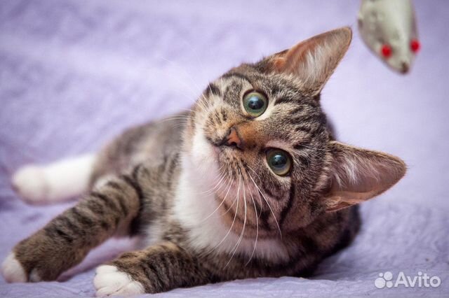 Нежнейшая малышка Нюся в добрые руки