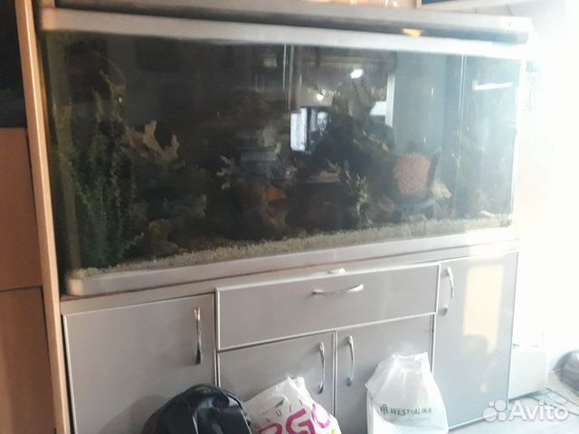 Продается аквариум