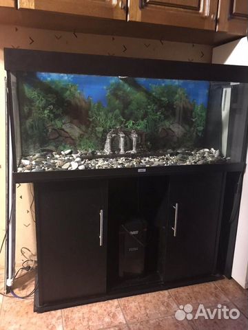 Аквариум, juwel 250л