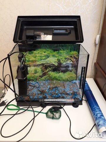 Аквариум с атрибутами