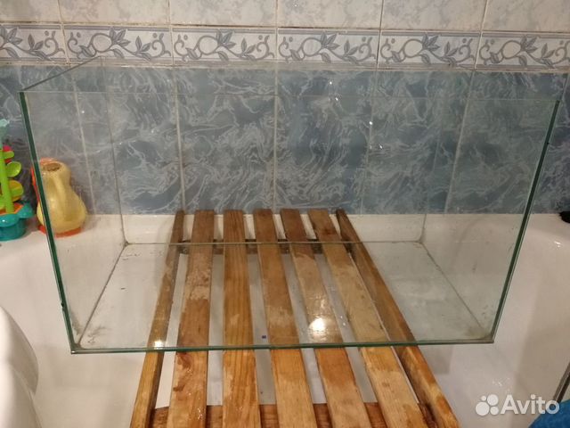 Аквариум бесплатно