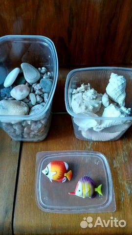 Грунт, ракушки, камешки