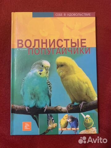 Волнистые попугайчики