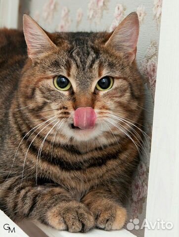 От печали до радости