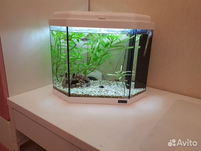 Продам аквариум 27л