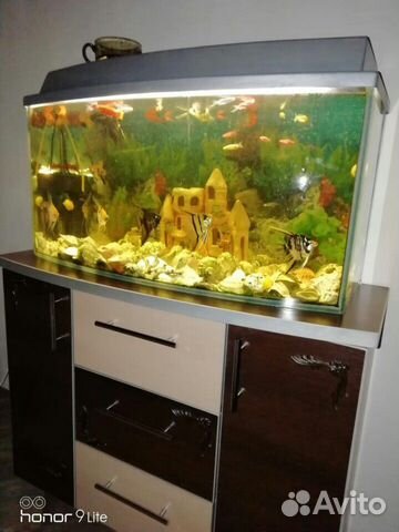 Аквариум