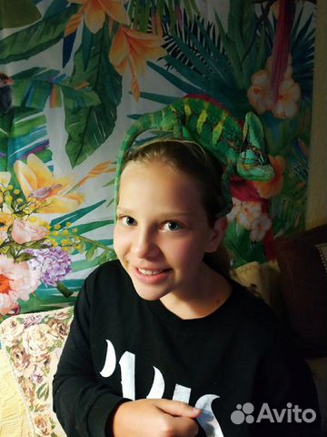 Йеменский хамелион