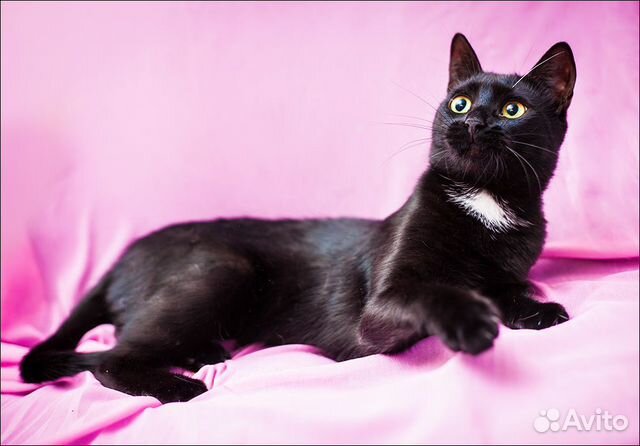 Юная Мишель - грация и обаяние