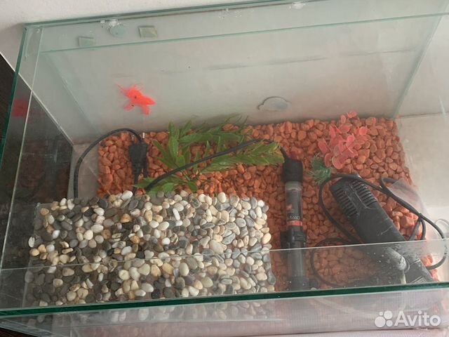Аквариум для черепашки