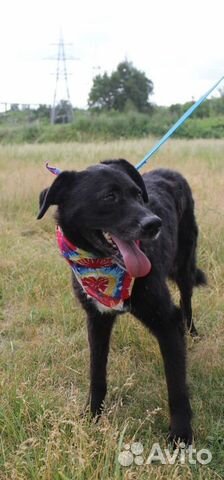 Его жизнь в Ваших руках. Ищем дом для Макса