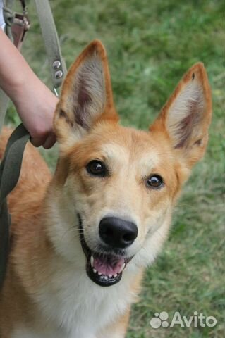 Чудесная Лесли в дар