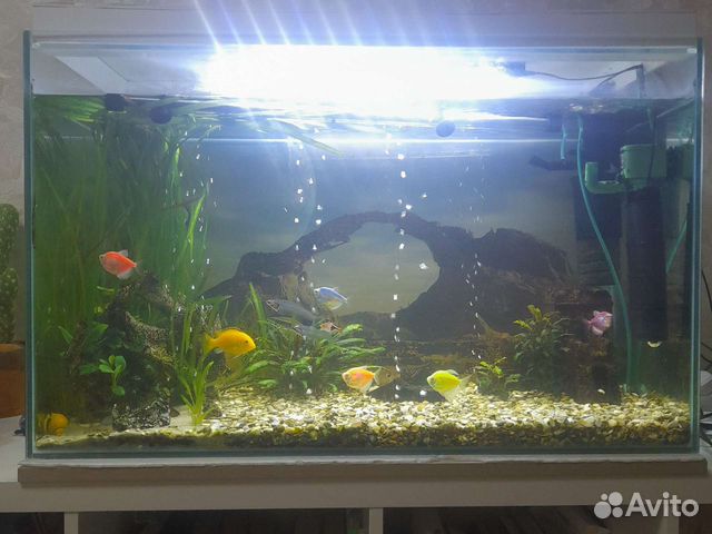 Аквариум 150 литров