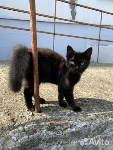 Выброшенная на смерть малышка в добрые руки