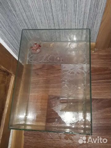 Красноухая черепаха с аквариумом девочка 3лет