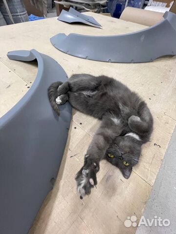 Кошка дымчатая с зелёными глазами