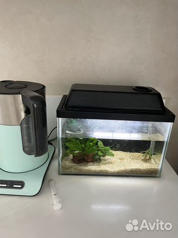 Аквариум с фильтром, лампой, растениями