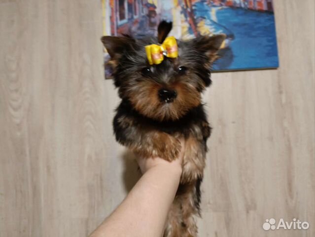 Особенная девочка. Внимательно читаем