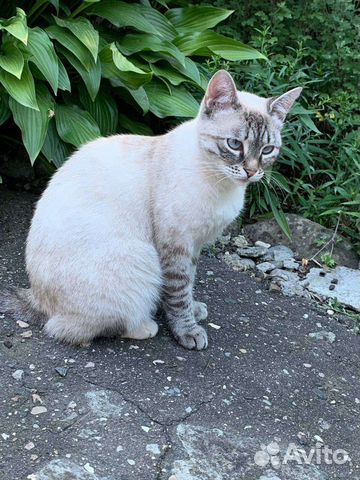 Очаровательная Беатрис ищет семью