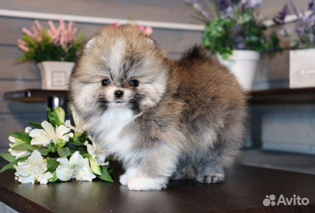 Кукольная малышка