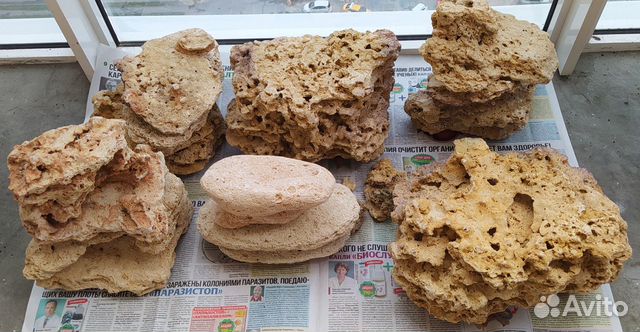 Продам камень для аквариума ячеистый песчанник