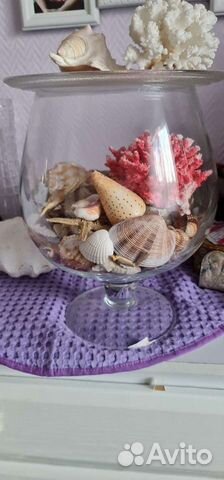 Аквариум сухой,с ракушками и морским звездами